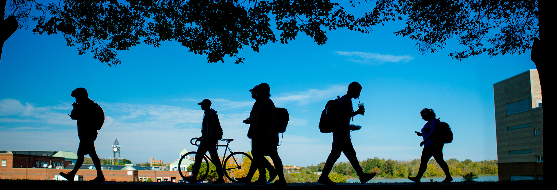 The Student Experience at SUNY - SUNY